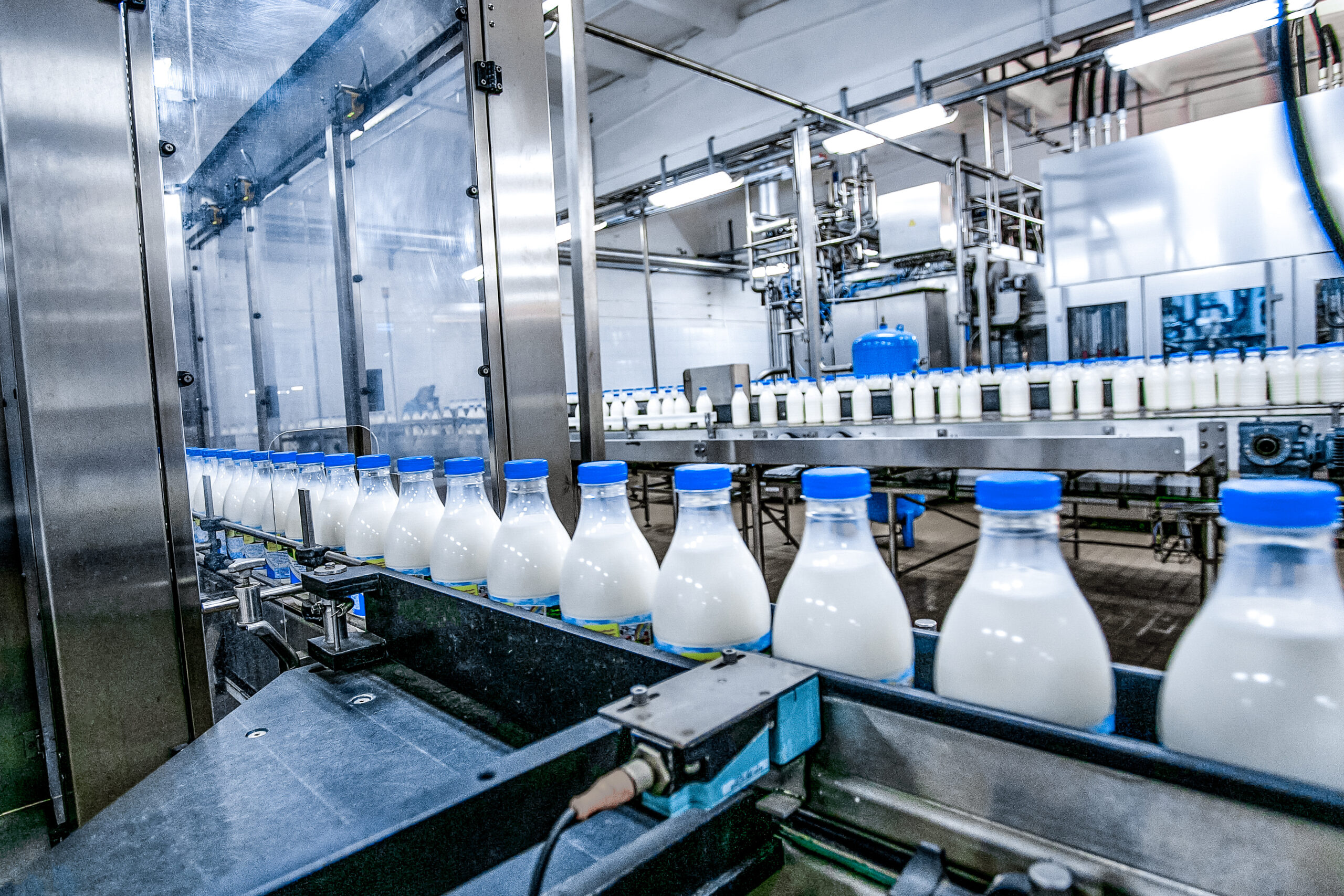 Top Questions To Ask When Choosing Your Dairy Supplier |MV Milk ...